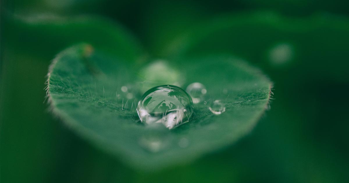 The Apave Group launches its range of Green&Social solutions